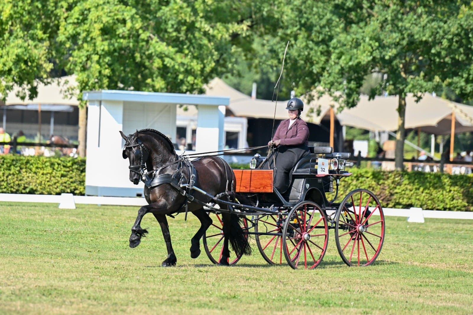 Druk weekend selectie Barsingerhorn – Dressuurstal Laurena